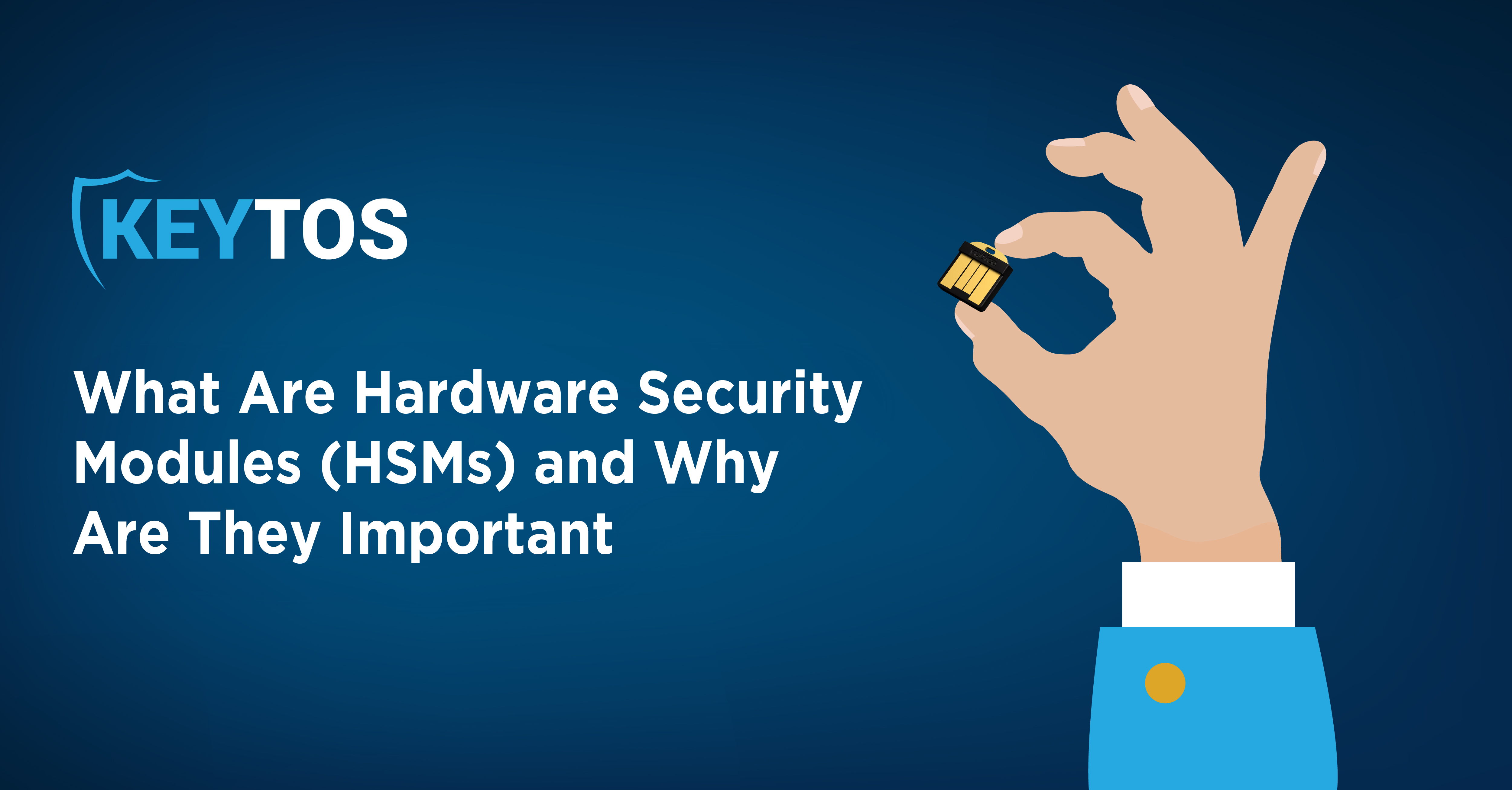 What are HSMs? Why are HSMs Important? | Keytos