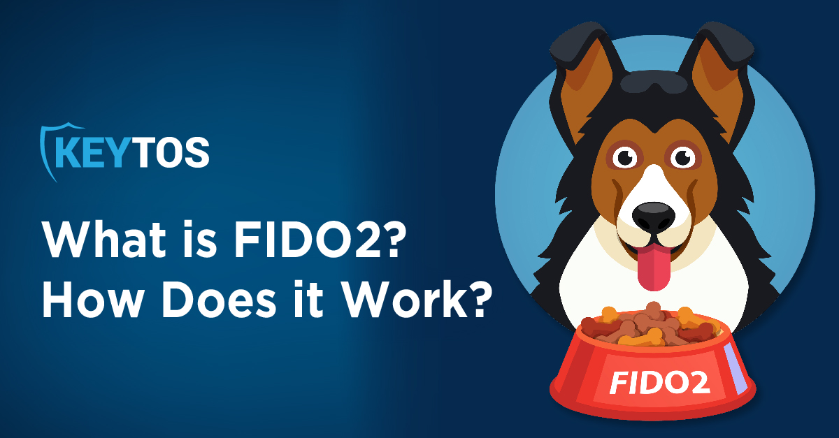 What is FIDO2? What Does FIDO2 Do? | Keytos